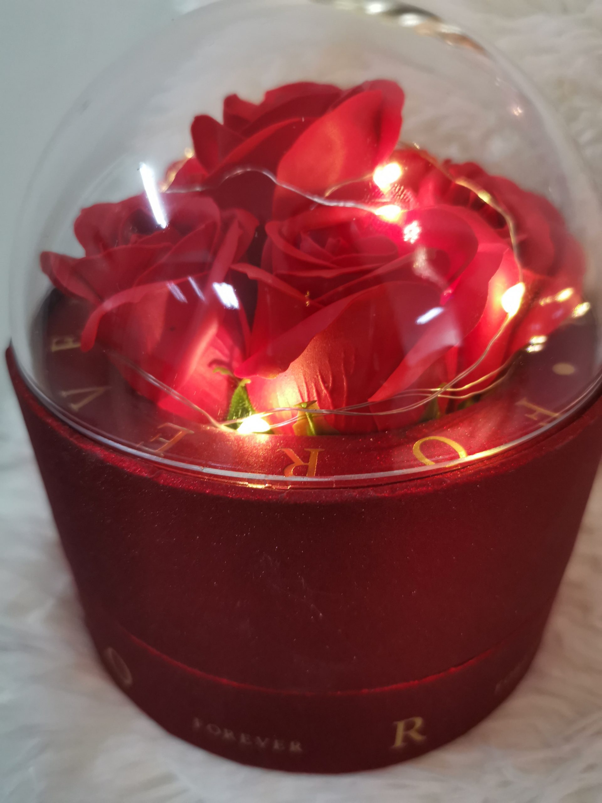 Forever Box (Small Series) - Code SBC3 | Small Cute Gift for Your Beloved