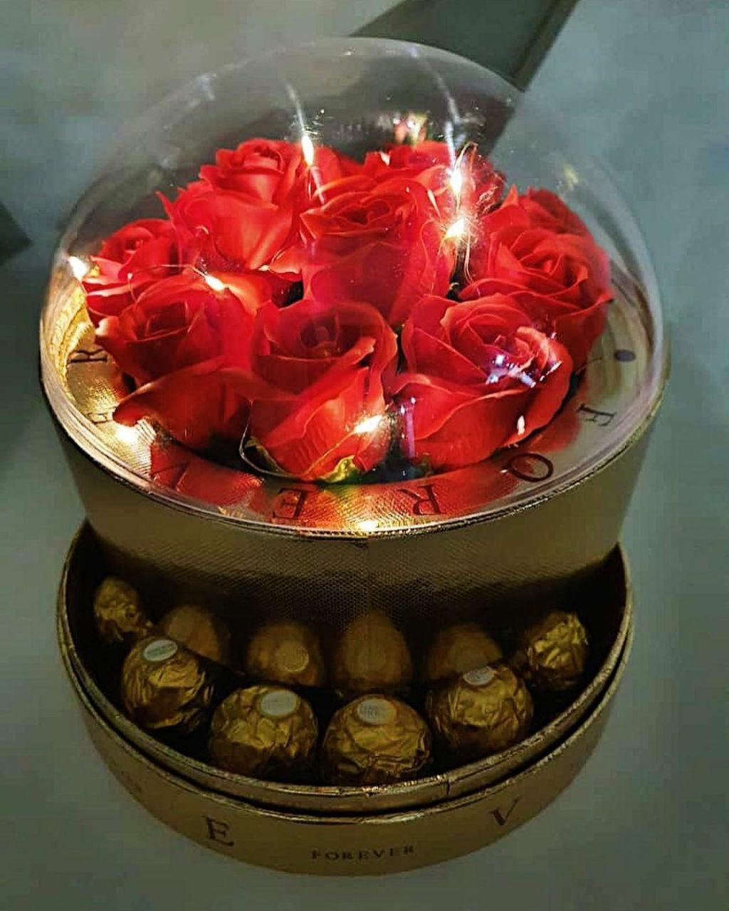 Forever Box (Big Series) - Code SBC1 | Cute Surprise Gift for Lover